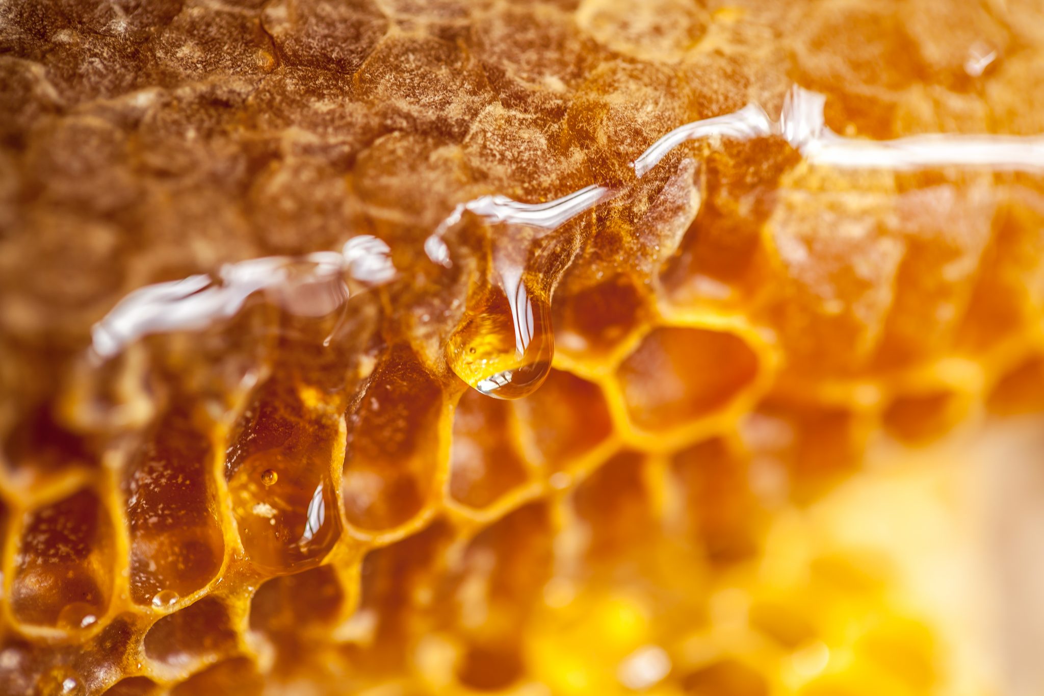 Eating Beeswax: A Sweet Treat - Backyard Beekeeping